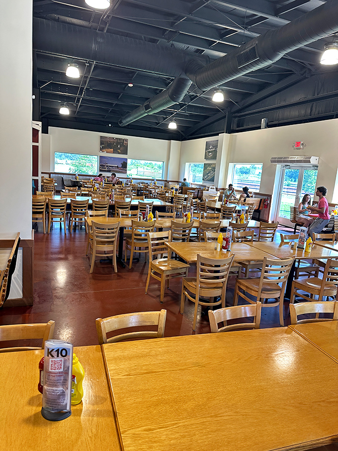The dining room buzzes with the universal language of satisfied customers plotting which ice cream flavor to try next.