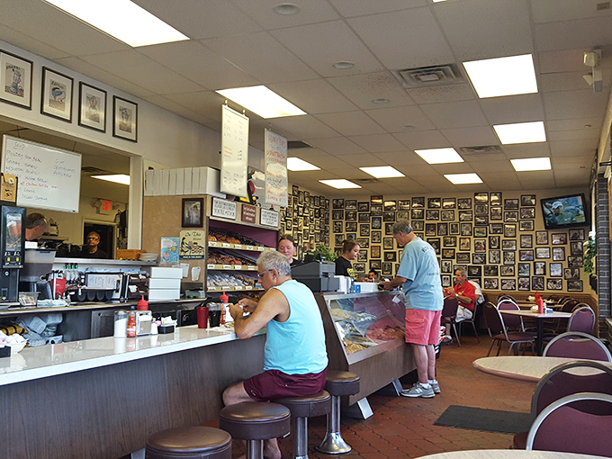 The counter service view—where breakfast dreams come true and regulars don't even need to order. They just nod and magic appears.