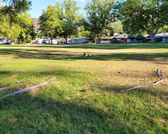 Discovery Park offers a green respite from urban hustle &ndash; though in Yreka, "urban hustle" is relative. Nature and neighborhoods coexist in perfect harmony.