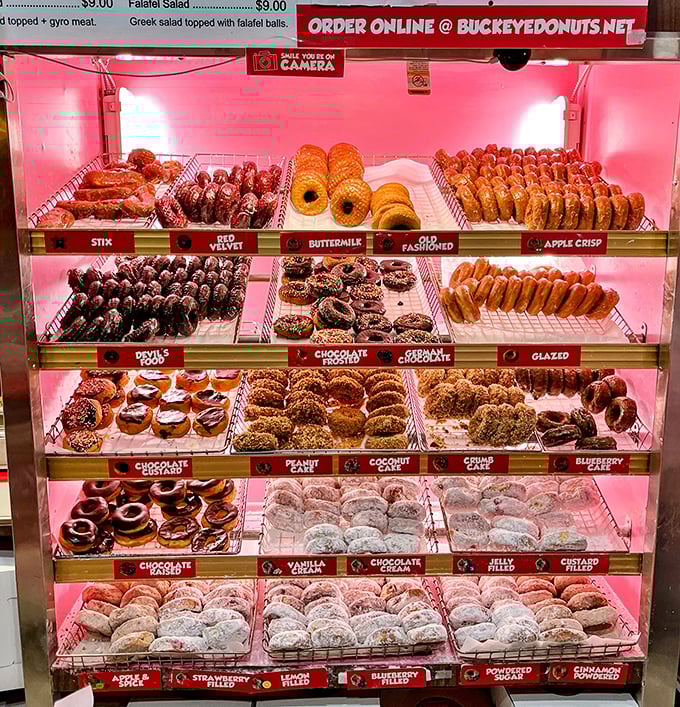 The donut display case&mdash;nature's most perfect color spectrum, from chocolate-glazed darkness to powdered-sugar brightness.