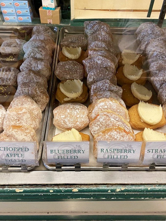 Classic donuts lined up like edible soldiers ready to march straight into your happy place.