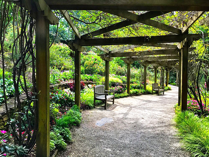 Garden pathways shaded by wooden pergolas invite contemplation. The perfect spot to ponder life's mysteries or just rest your legs.