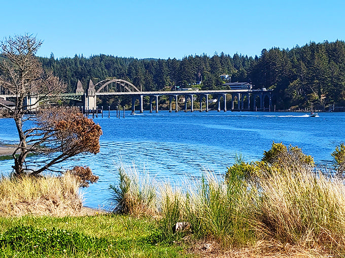 The Siuslaw Bridge frames the perfect postcard moment, where blue water meets bluer sky in a scene worth a thousand words.
