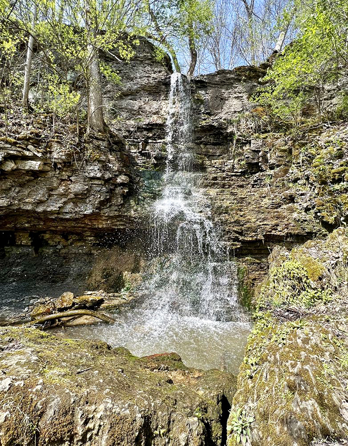 This limestone waterfall reveals Ohio's ancient seabed past, delivering a refreshing finale to a challenging hike.