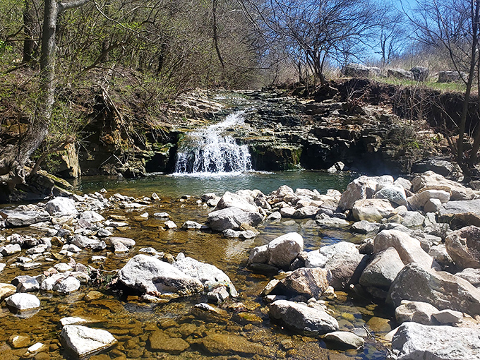 This hidden waterfall at Farrington Reserve is the kind of secret spot locals mention in hushed tones. Nature's version of a spa day.