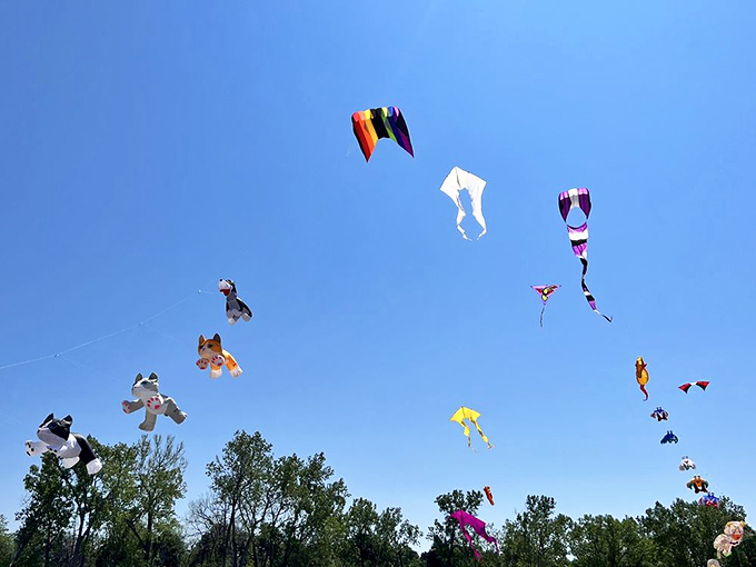 Colorful kites dance against blue skies like childhood dreams taking flight above water.