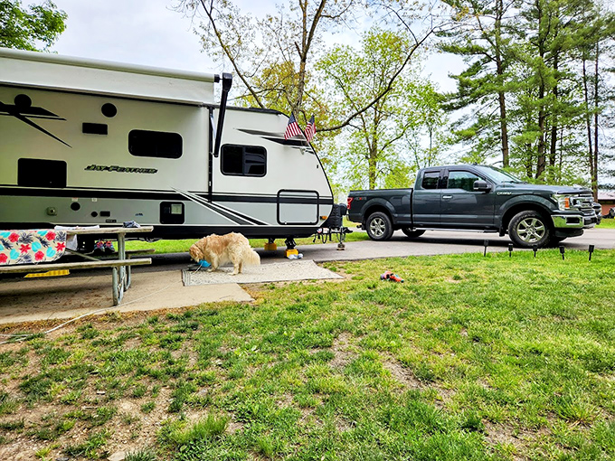 Home is where you park it. This campsite offers the rare luxury of waking up to birdsong instead of alarm clocks.