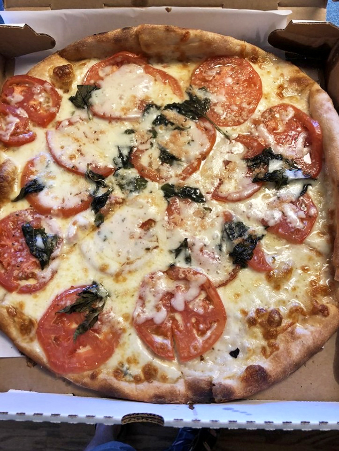 Fresh tomato and basil pizza that tastes like summer vacation in Naples. Each slice is a postcard from Italy that arrived without getting bent in the mail. 