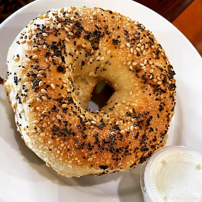 This isn't just any bagel &ndash; it's the morning's perfect circle of happiness. Sesame and poppy seeds competing for your attention like eager performers.