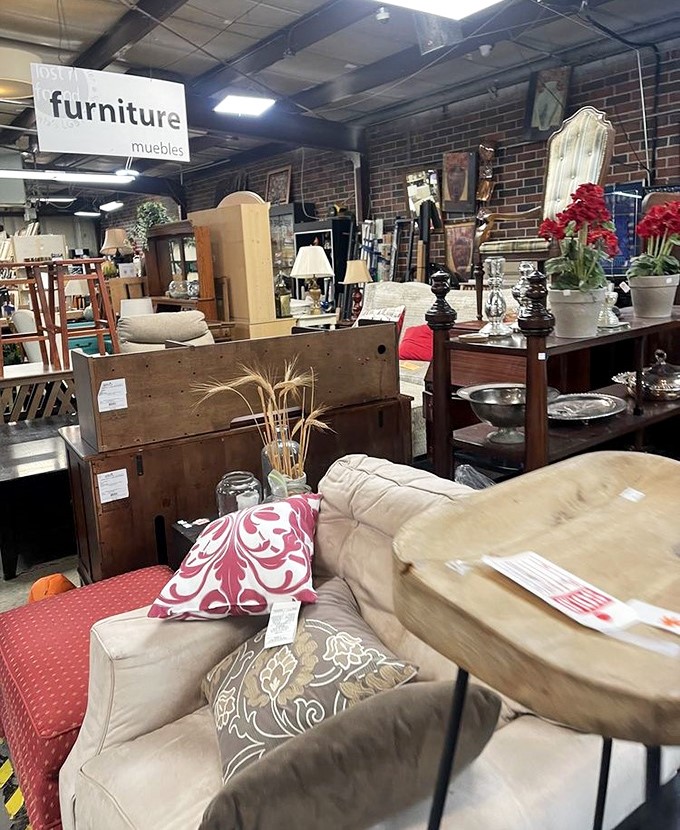 The furniture section: where solid wood pieces with good bones and better stories await adoption into your home's eclectic family portrait.