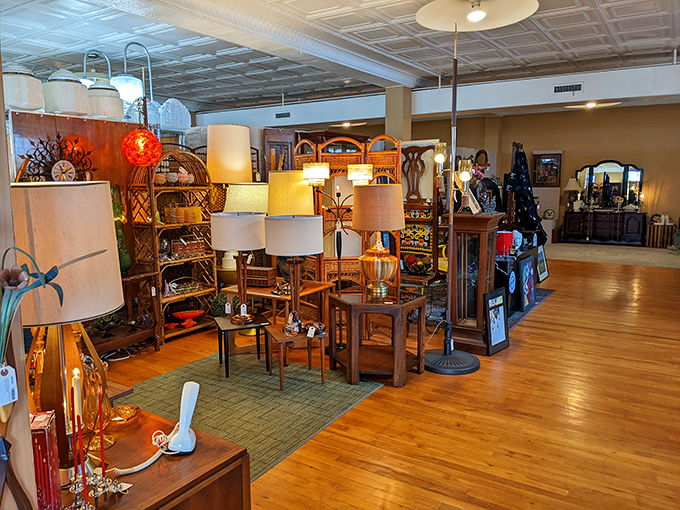 Mid-century lamp heaven awaits the discerning decorator&mdash;each shade a perfect time capsule of when lighting was an art form, not just a utility.