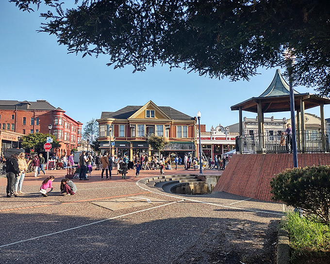 The Old Town plaza buzzes with community energy that chain stores can never replicate. This is where locals actually want to hang out.
