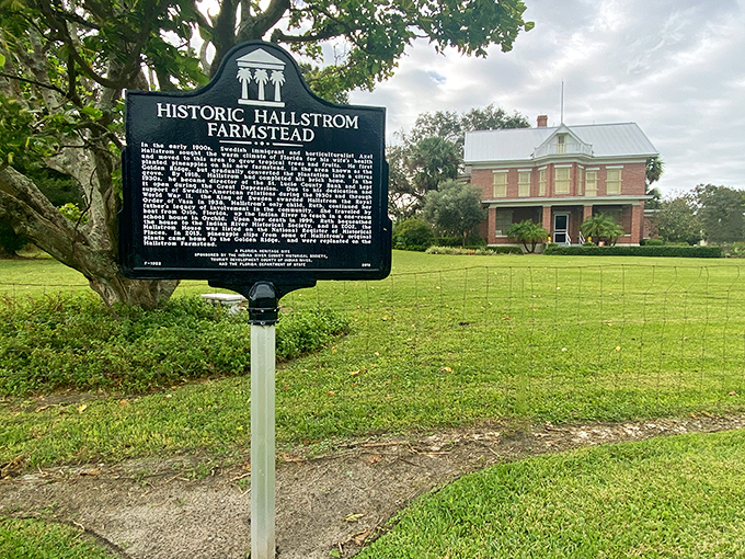 History stands proudly at Hallstrom Farmstead. This preserved homestead reminds us that before tourists, pioneers shaped this coastal paradise.