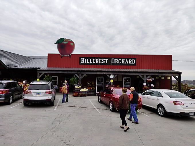 Hillcrest Orchard announces itself with an apple that would make even Newton rethink gravity. Fresh produce shopping becomes an event rather than an errand.