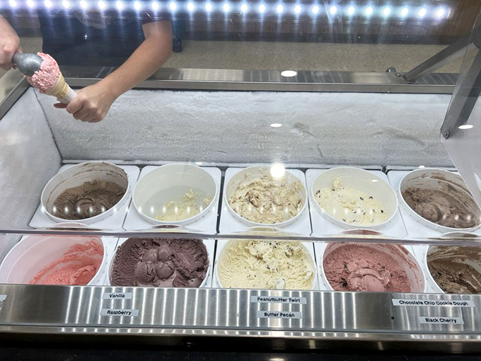 Ice cream flavors lined up like colorful edible art &ndash; each scoop promising a different journey through dairy perfection.