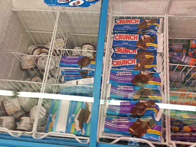 Frozen dessert heaven awaits behind glass doors. These ice cream treats cost less than the gas it takes to drive to the fancy parlor.