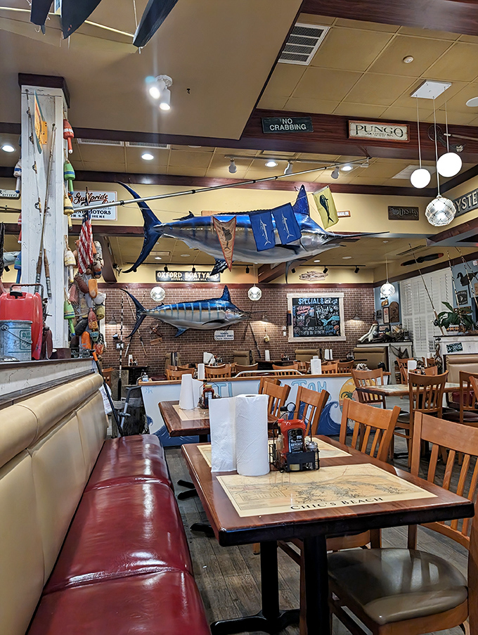 Fish trophies mounted overhead seem to say, "You could've caught us, but isn't it nicer to have someone else do the cooking?"