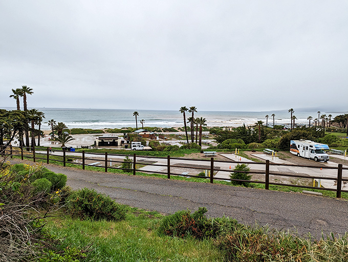 Just a short drive from downtown, Jalama Beach County Park offers crashing waves and coastal breezes. The perfect palate cleanser between antiquing expeditions.