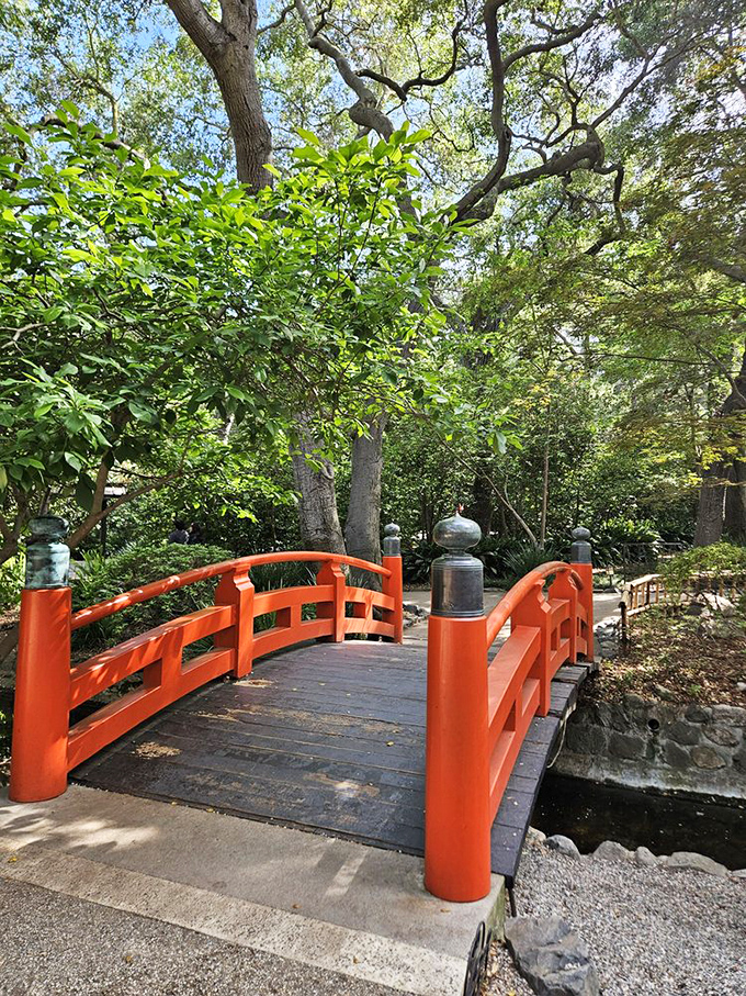 The vermillion bridge in the Japanese Garden doesn't just connect two shores&mdash;it transports you to Kyoto without the jet lag or passport stamps.