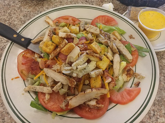 A salad that doesn't apologize for being hearty. Fresh tomatoes cradle seasoned chicken and cheese in a colorful arrangement that eats like a meal.