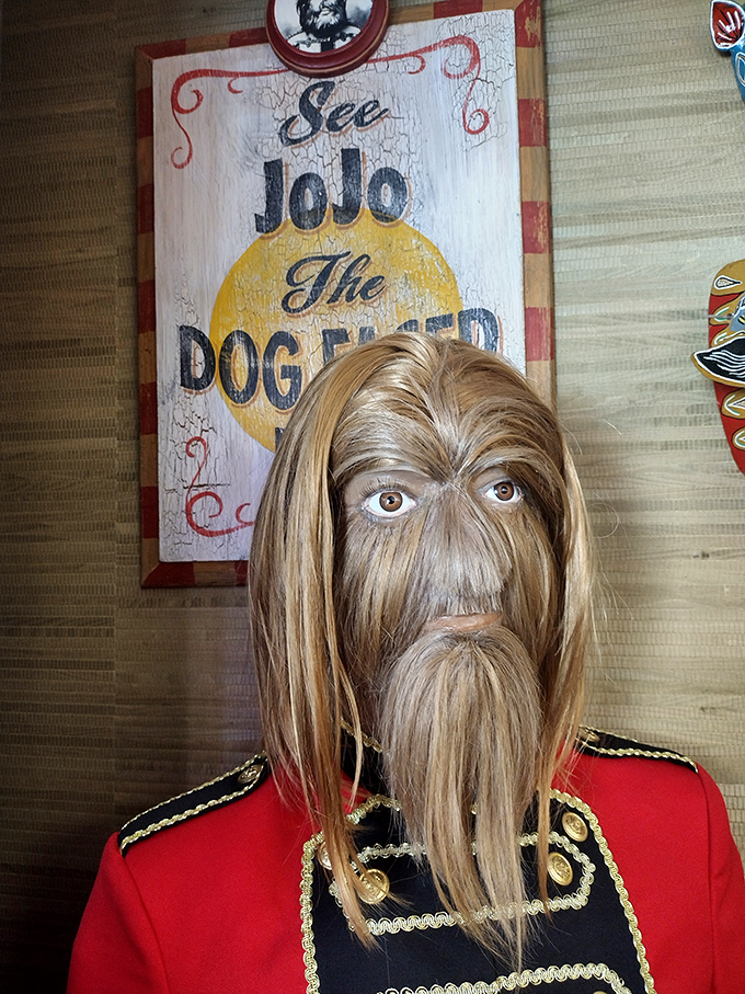 JoJo the Dog-Faced Boy stares back with unsettling human eyes. This recreation of a famous sideshow performer blurs the line between man and beast.
