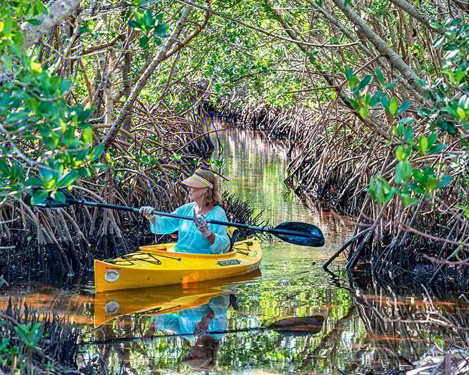 Nature creates perfect tunnels of mangrove magic for kayakers willing to explore Tarpon Springs' quieter side. Silence never looked so green.