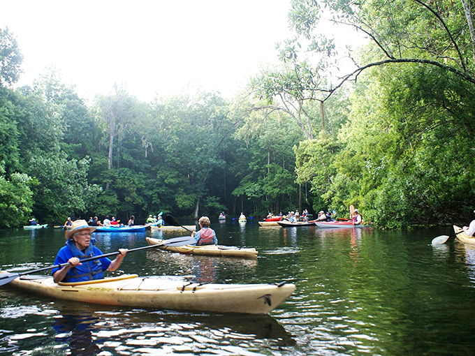 Kayaking through cypress-lined waters&mdash;where the only traffic jam involves turtles sunning themselves on fallen logs.