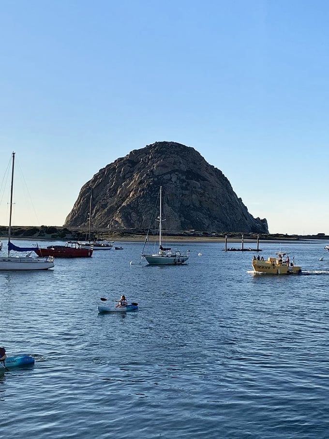 Morning brings a gentle dance of boats with Morro Rock as the stunning backdrop. Kayakers and sailors glide across the calm, protected waters in a peaceful display of aquatic harmony.