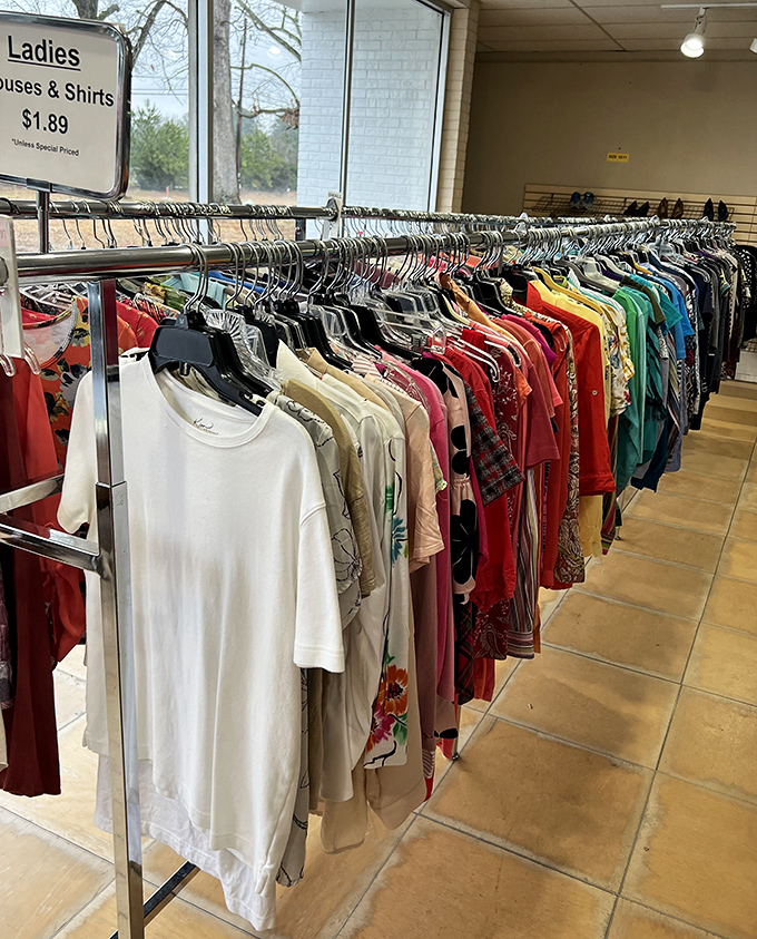 Ladies' clothing racks that prove style doesn't require sacrificing your retirement fund for a wardrobe refresh.