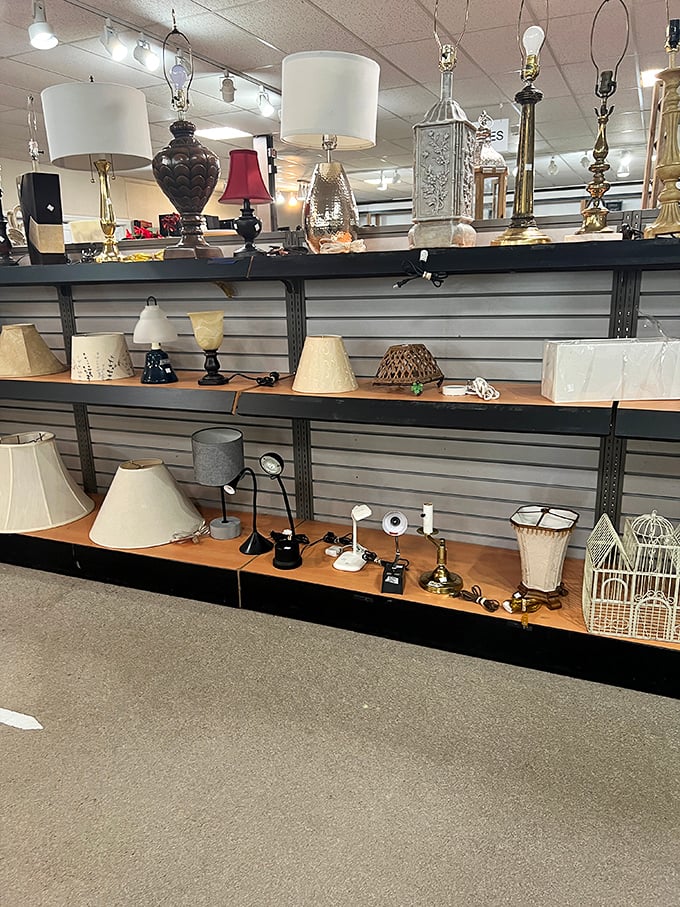 The lamp section glows with potential, offering lighting solutions from elegant to eclectic. That vintage brass beauty could be the statement piece your reading nook desperately needs.