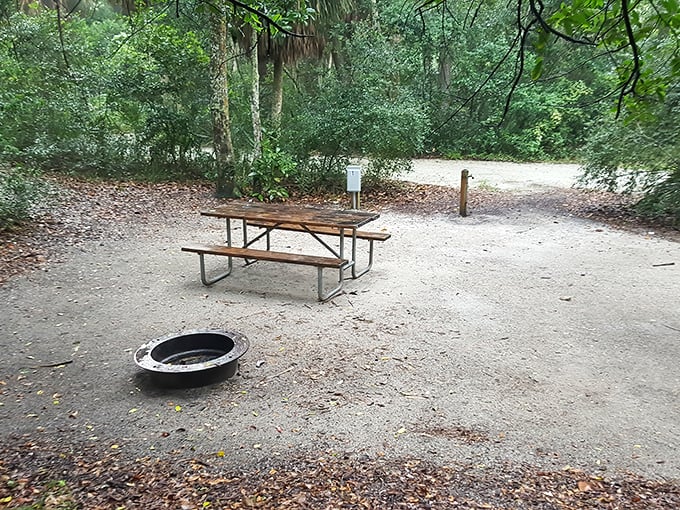 Camping simplicity at its finest&mdash;just a picnic table, fire ring, and enough trees to pretend you're the only humans left on Earth.