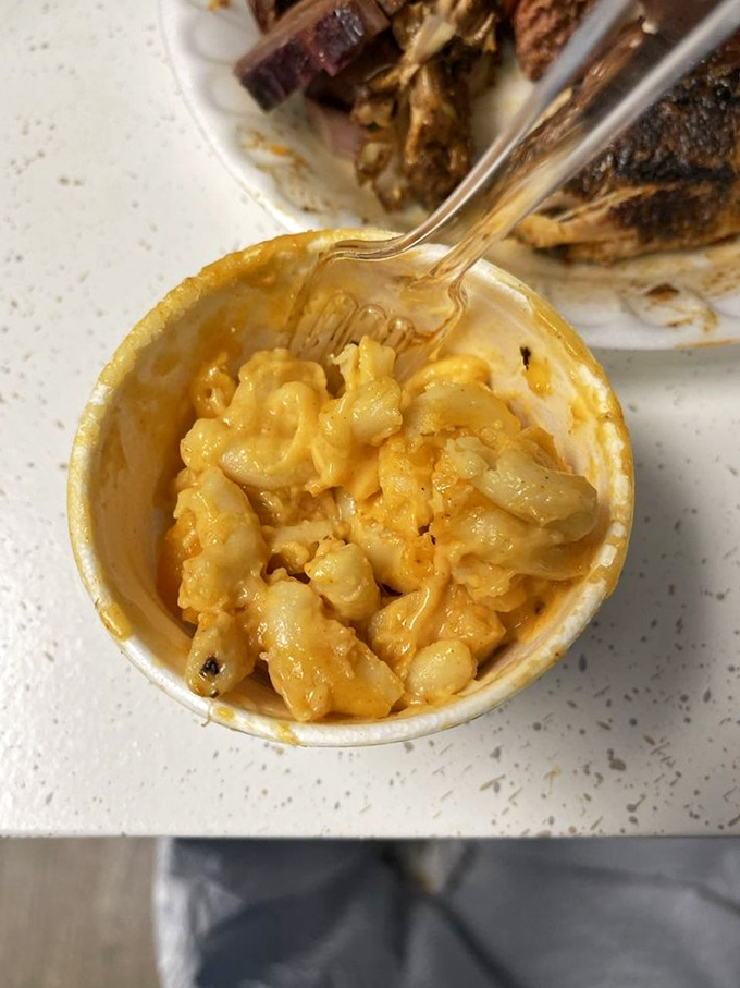 Mac and cheese that doesn't apologize for being exactly what it is: a creamy, gooey masterpiece that your diet plan will gladly take a day off for.