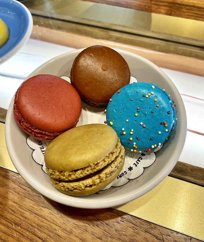 Macarons lined up like edible jewels, each one a tiny passport to flavor paradise awaiting.