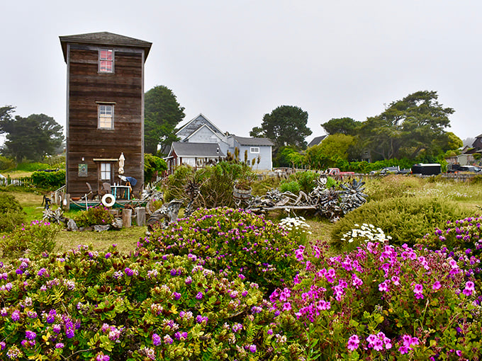 Only in Mendocino will you find wildflowers casually upstaging the dramatic meeting of cliffs and ocean, as if beauty is just business as usual here.