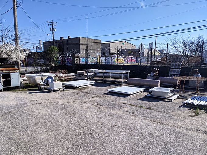 Even the outdoor salvage yard feels like an archaeological dig where bathtubs and architectural elements bask in the Baltimore sun.