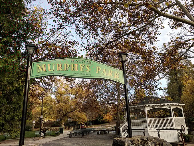 Historic Murphys Park, established 1948, serves as the town's living room – complete with gazebo, picnic tables, and plenty of small-town magic.
