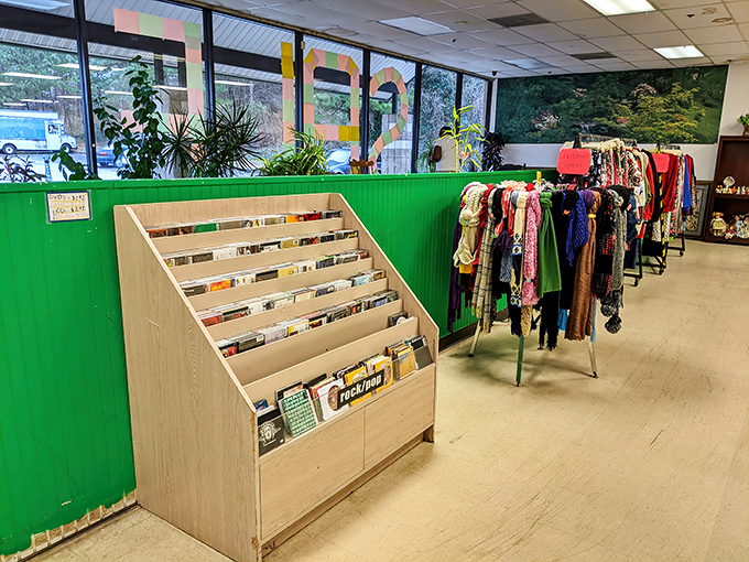 Books and media neatly arranged&mdash;a literary buffet where you can feast on everything from bestsellers to obscure titles that deserve a second chance.