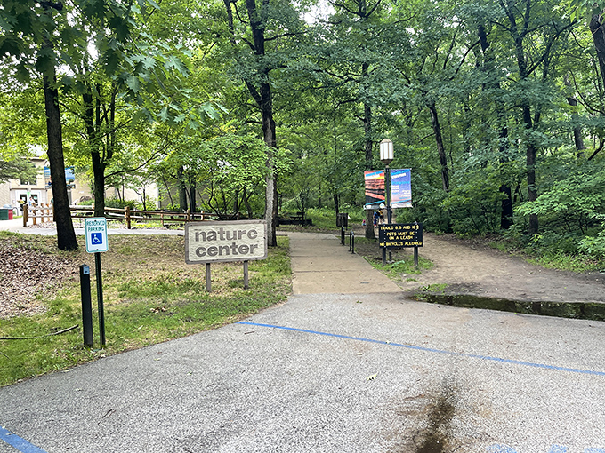 Knowledge is just around the corner. The Nature Center serves as both gateway and guide to understanding the park's remarkable ecological diversity.