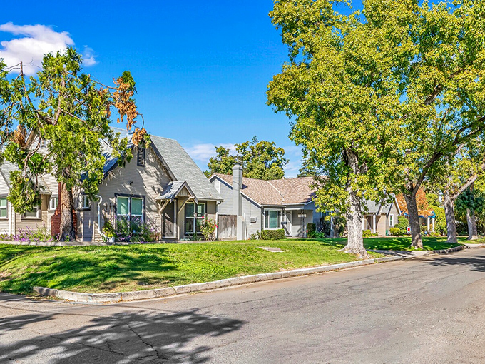Charming neighborhoods with mature trees offer affordable housing options that don't require winning the lottery. Remember when yards weren't considered luxury items?