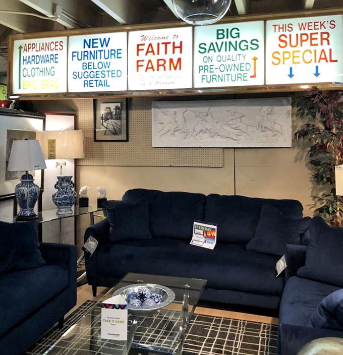 The showroom setup rivals furniture stores charging quadruple. That navy sofa is practically begging to host your next Netflix marathon.