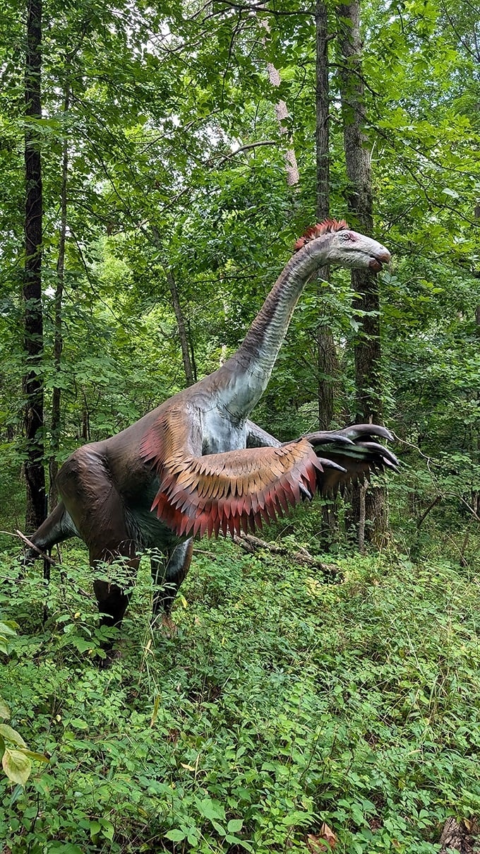 With its long neck stretching toward the treetops, this gentle giant seems right at home among Tennessee's greenery.