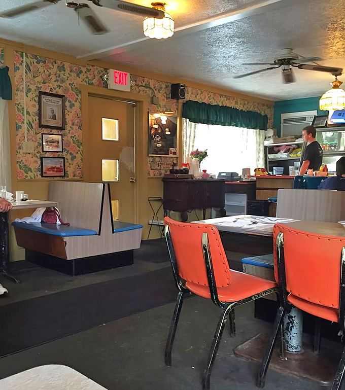 Orange chairs that have witnessed decades of breakfast debates and floral wallpaper that somehow feels like coming home.