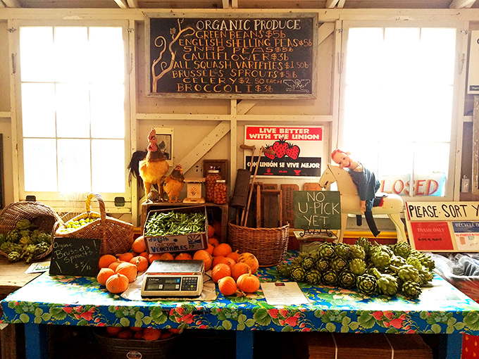 Beyond berries: a colorful spread of seasonal organic produce that makes even confirmed carnivores reconsider their life choices.