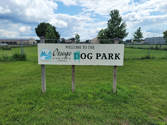 The Otsego County Dog Park welcomes four-legged residents and visitors alike &ndash; because retirement is more fun when Fido has a place to make friends too.