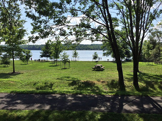 Picnic perfection awaits! These lakeside grounds offer more scenic dining potential than restaurants charging three times your monthly car payment.
