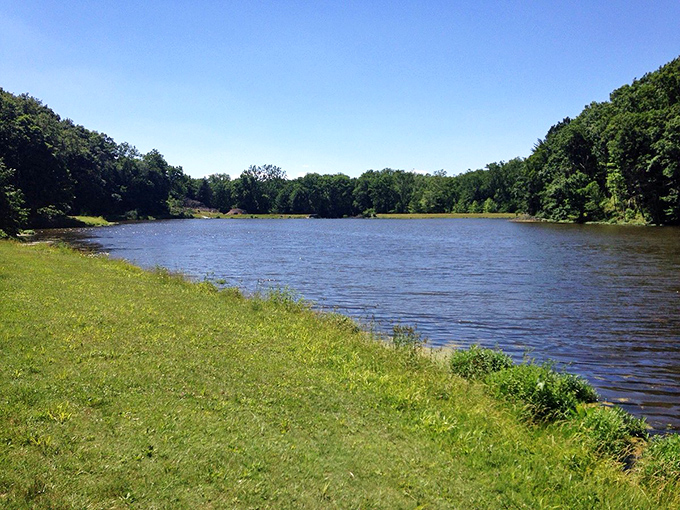 Mount Gilead's serene lake reflects the surrounding greenery like nature's mirror, offering fishermen and daydreamers equal opportunity for peaceful contemplation.