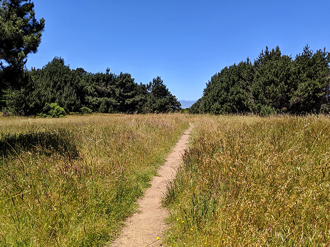 The journey to geological wonder begins with a single step. This unassuming trail leads to one of California's most photographed natural phenomena.