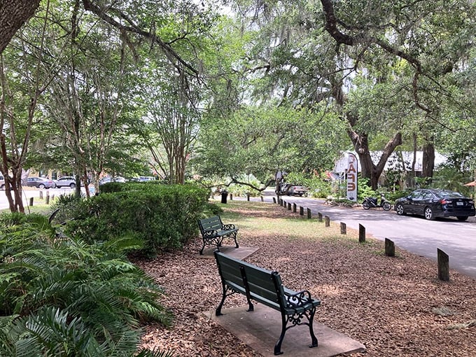 Park benches invite you to slow down and observe&mdash;a pastime that's practically mandatory in Micanopy's oak-shaded public spaces.