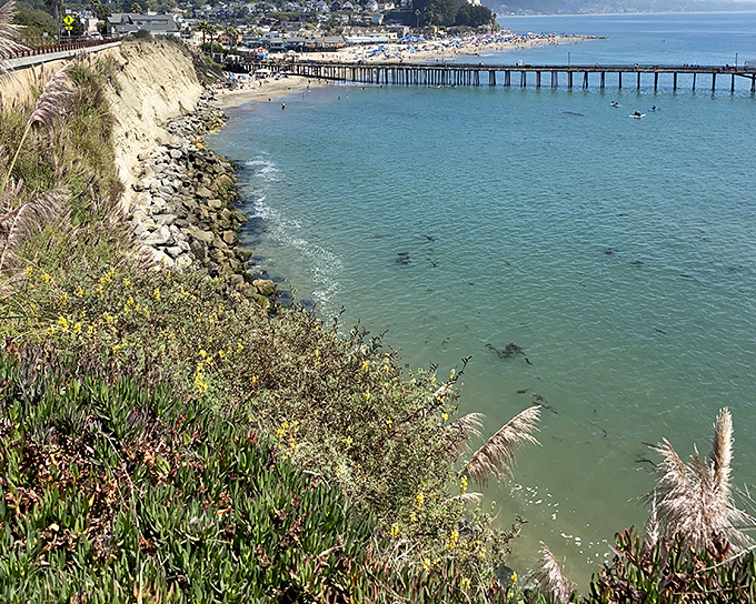 From this clifftop perch, Capitola's wharf extends into the bay like a welcoming arm to ocean adventurers.