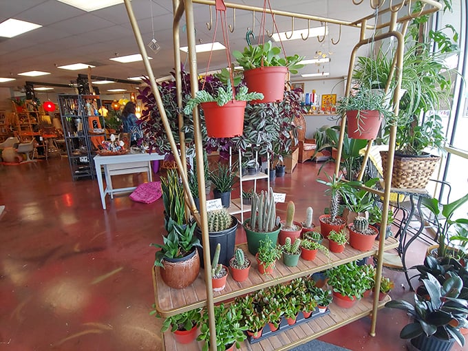 Plant parents, beware&mdash;you'll enter with innocent browsing intentions and leave as the reluctant adoptive guardian of seventeen new green babies.